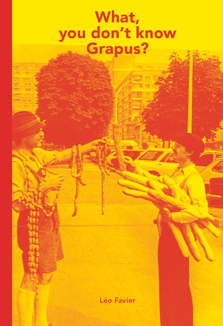 Hotel Hotel | What You Don’t Know Grapus?